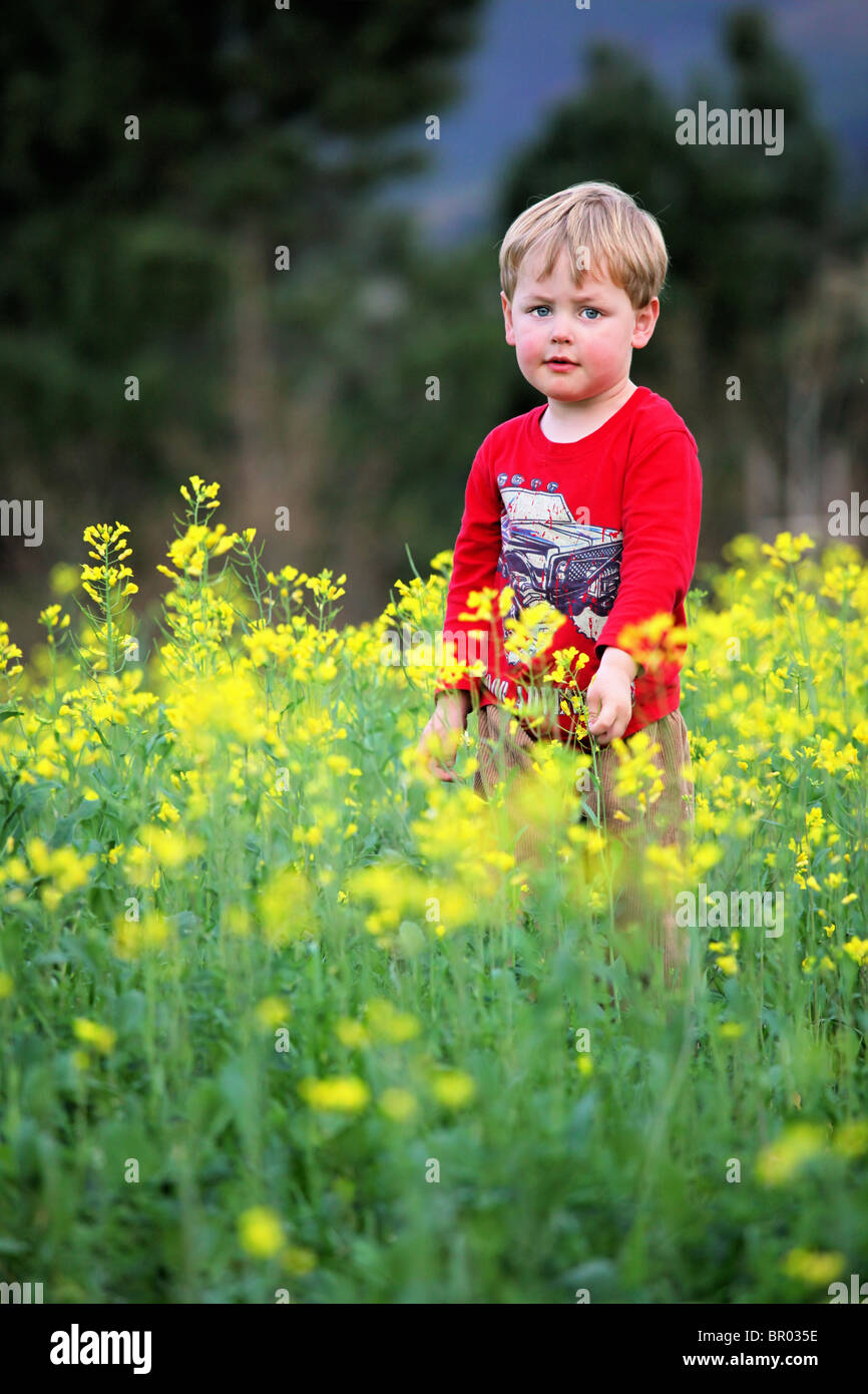 Youth picking flowers hi-res stock photography and images - Alamy