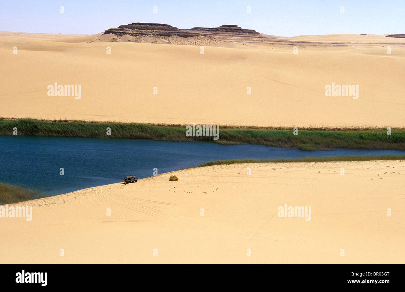 Swimming in ake formed by manmade bore hole, Bir Wahed, Great Sand Sea ...