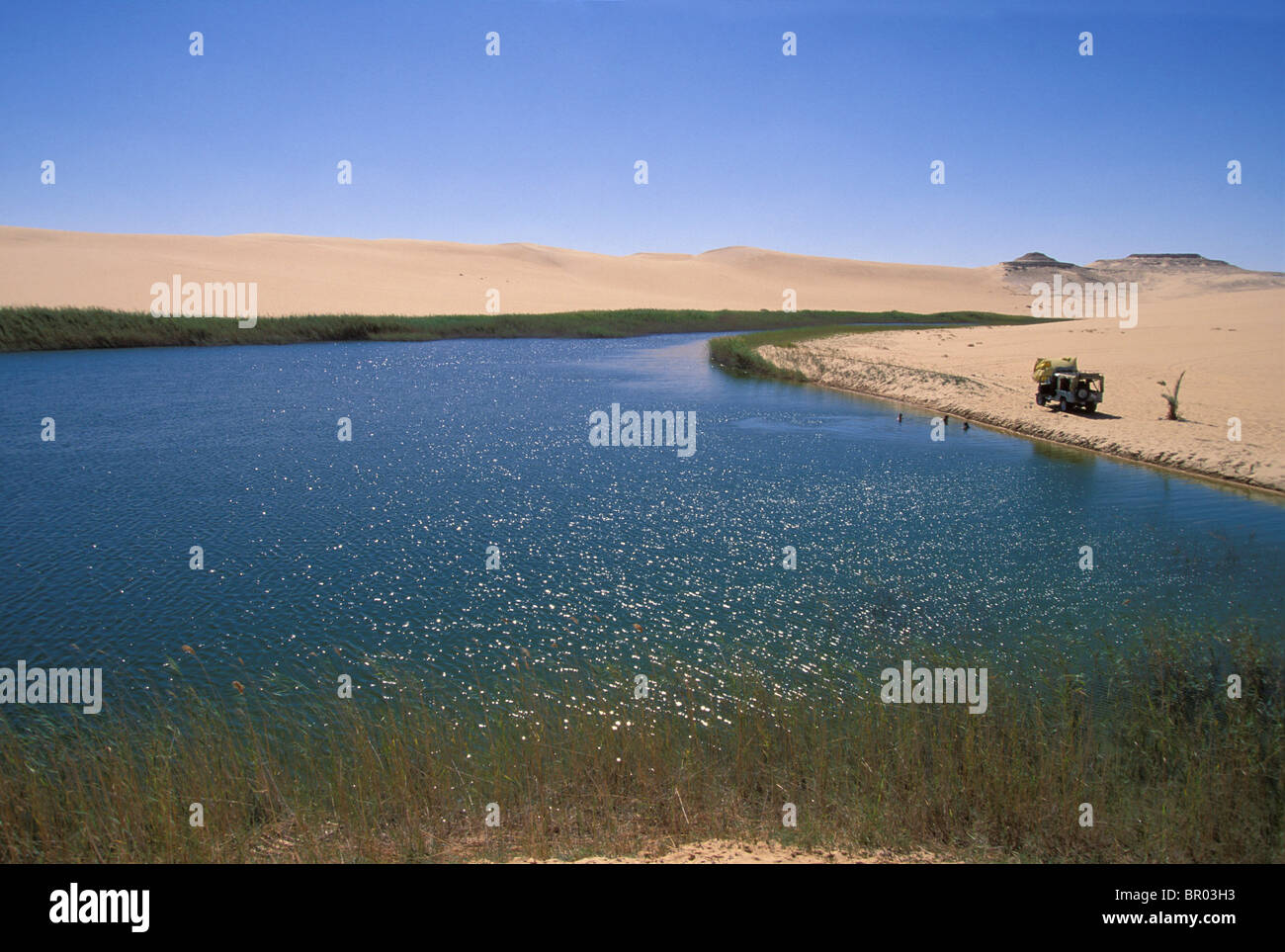 Lake formed by manmade bore hole, Bir Wahed, Great Sand Sea near Siwa ...