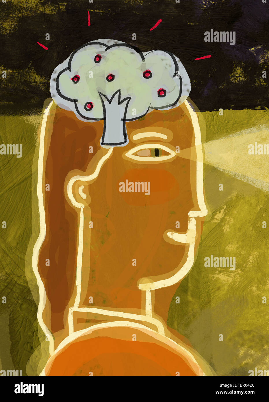 Profile of a woman with an apple tree growing from her head Stock Photo ...