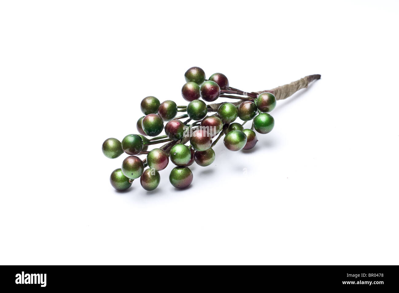 Branch of green shiny berries Stock Photo - Alamy