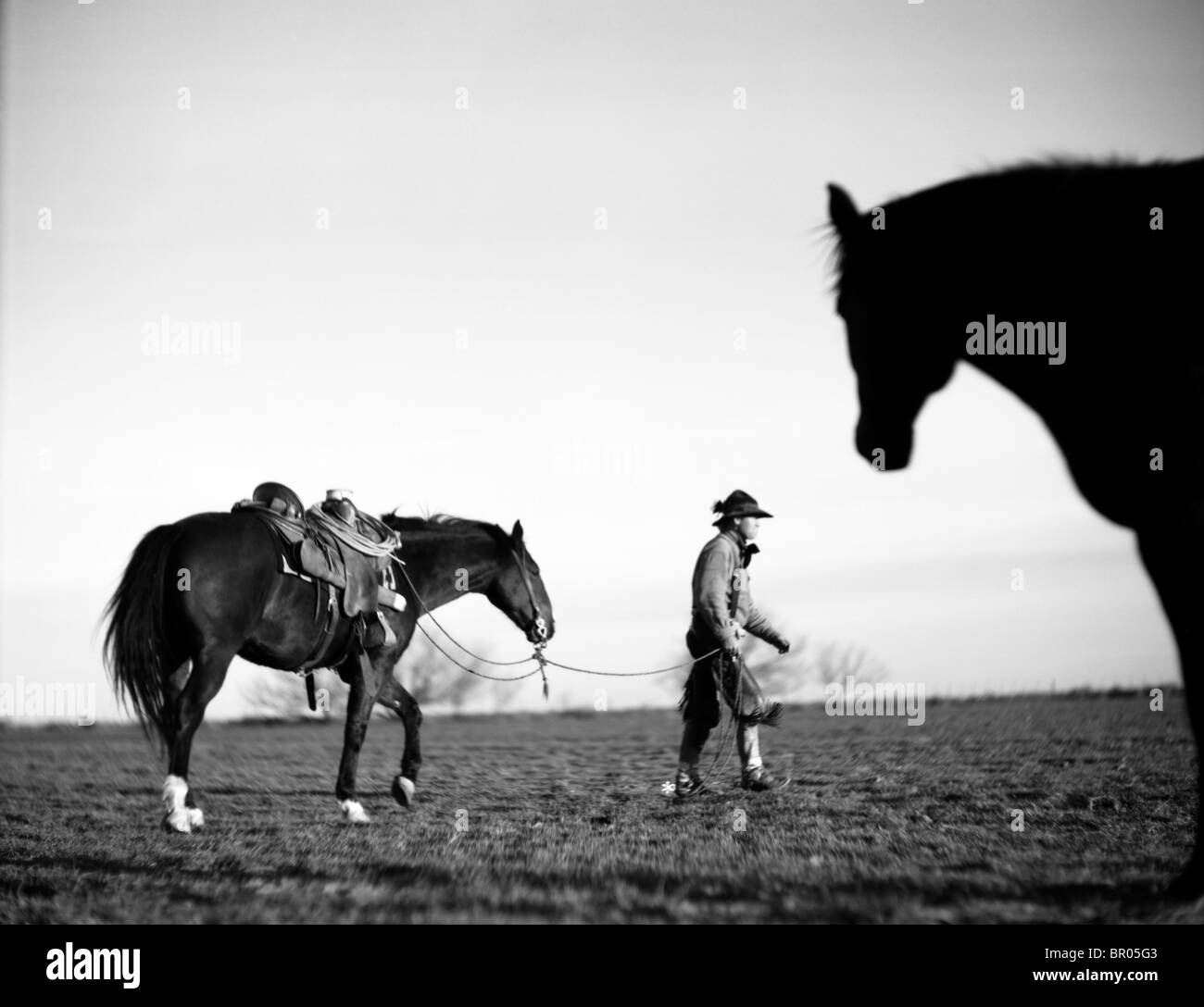 Lead a horse Black and White Stock Photos & Images - Alamy
