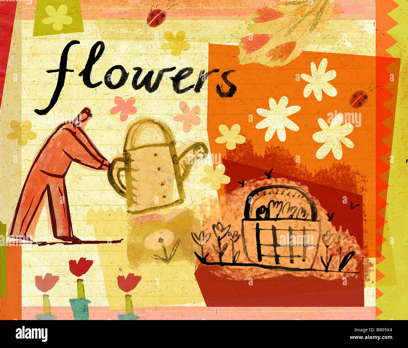 Man watering flowers Stock Photo - Alamy