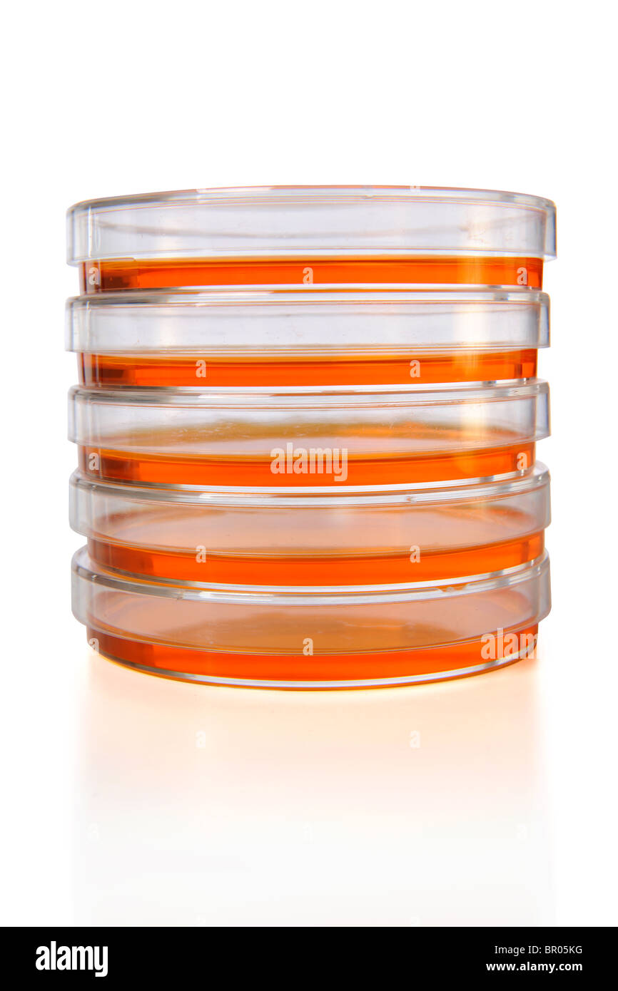 Stack of petri dishes Cut Out Stock Images & Pictures - Alamy