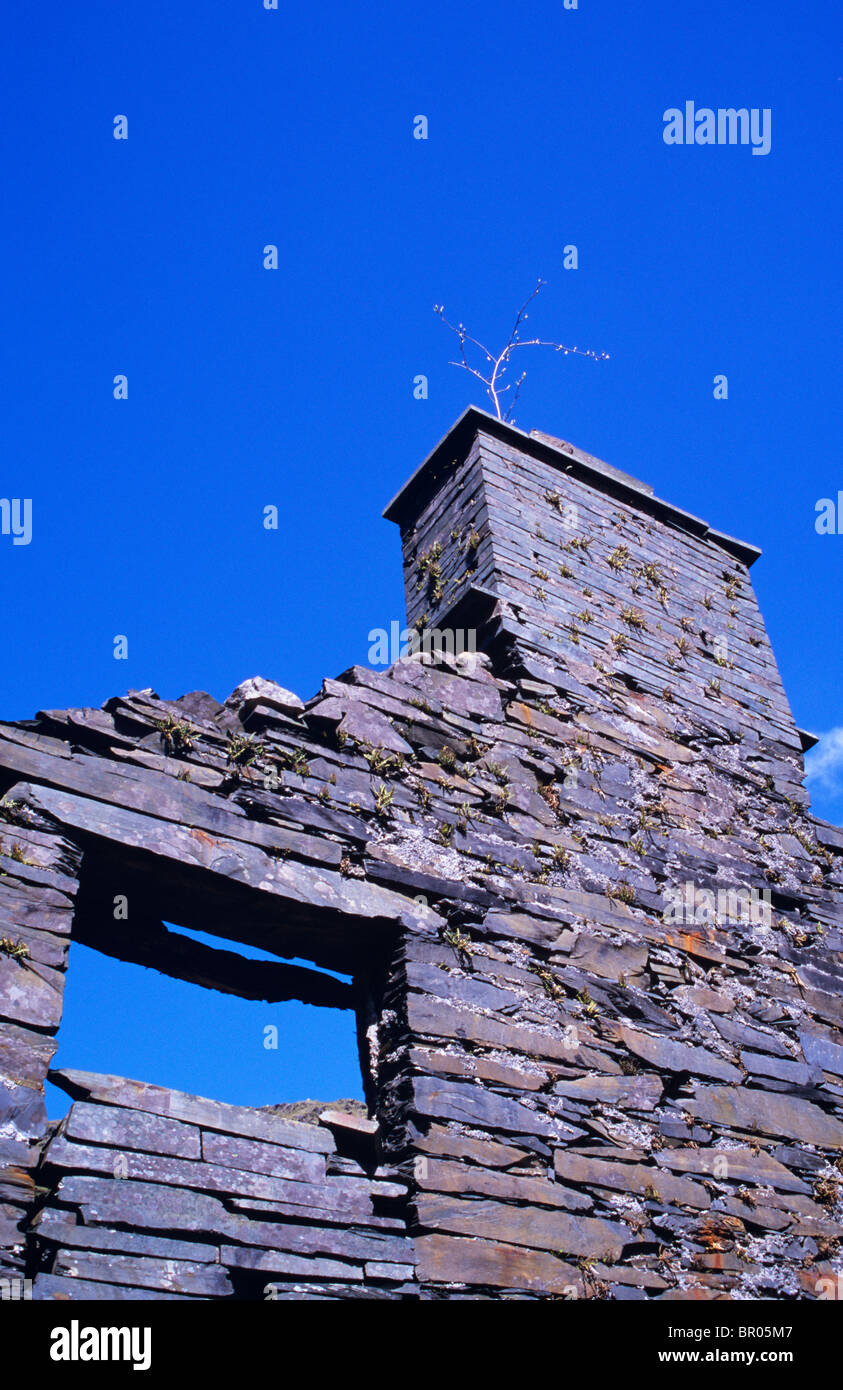 Tree growing from chimney hi-res stock photography and images - Alamy