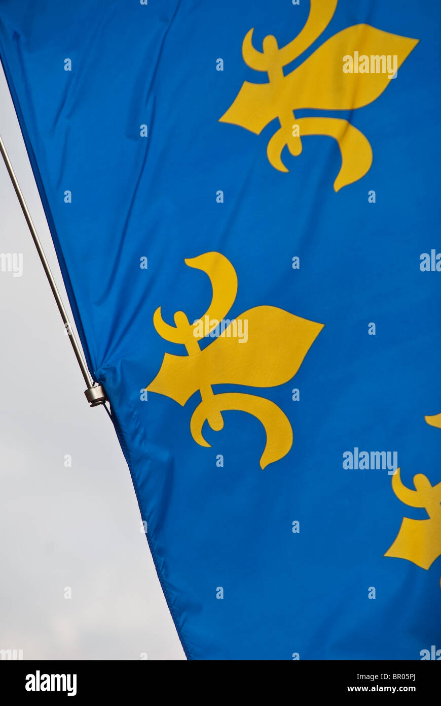 Fleur de lis no hi-res stock photography and images - Alamy