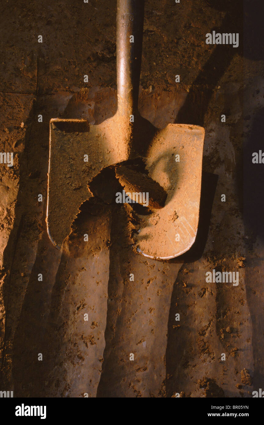 An archaeologists shovel digging at Big Eddy, MO Stock Photo - Alamy