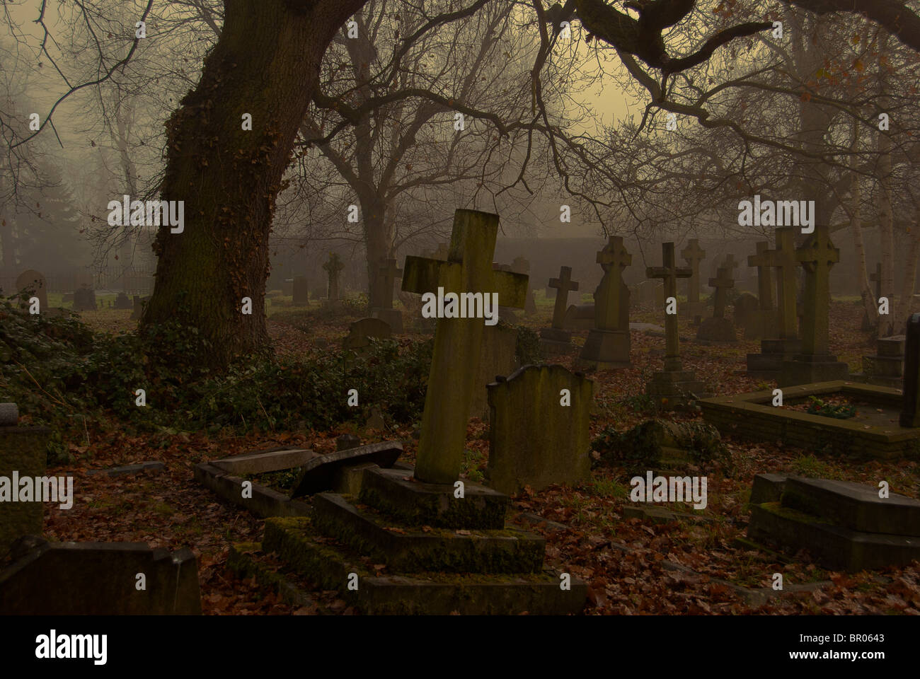 Misty graveyard hi-res stock photography and images - Alamy