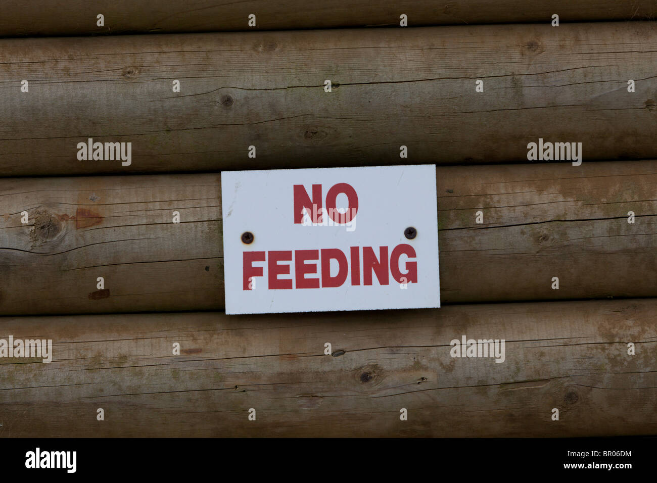 Feeding zoo animals hi-res stock photography and images - Alamy