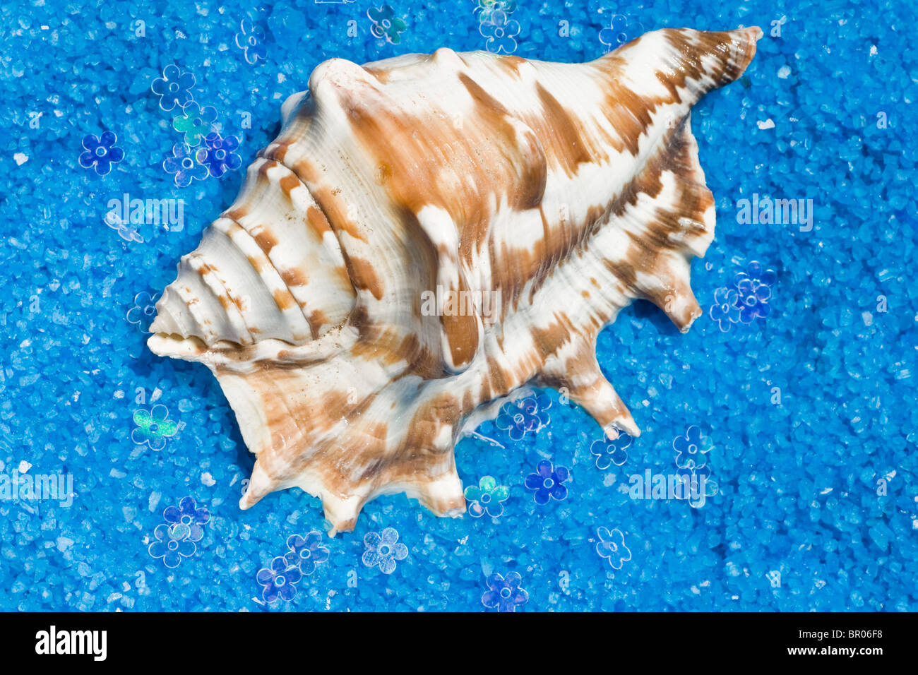 Periwinkle in bath salt Stock Photo - Alamy