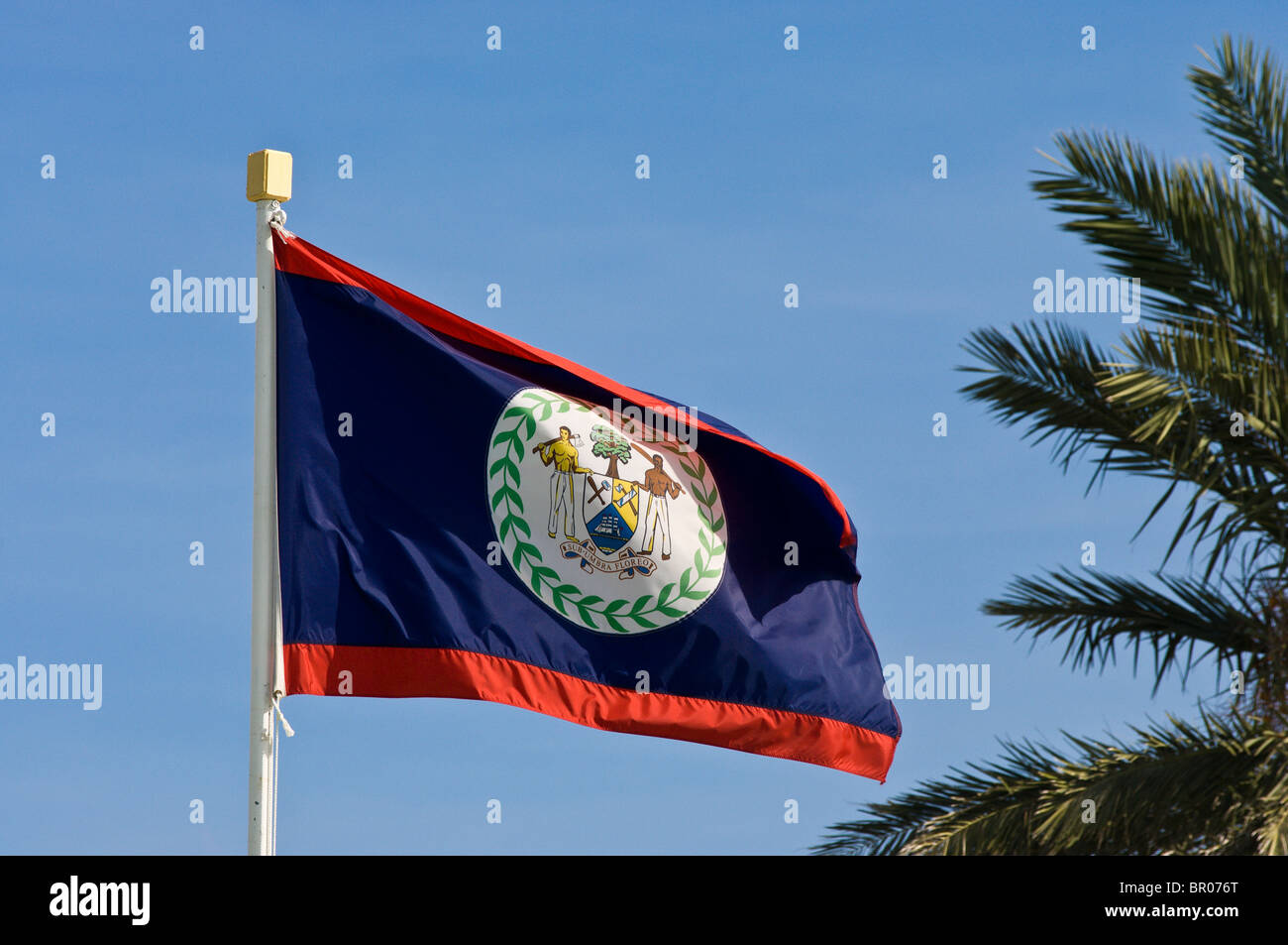 Belize Coat of Arms national flag flying in wind, Belize Stock Photo ...