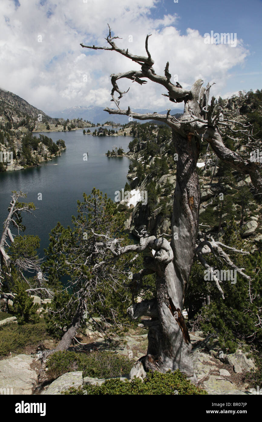 Alpine dam hi-res stock photography and images - Alamy