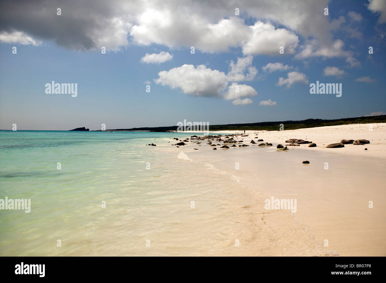 Galapagos Islands beach near the Equator Stock Photo - Alamy