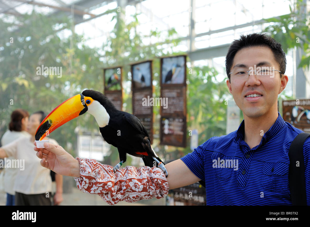 An asian man holding a toucan Stock Photo - Alamy