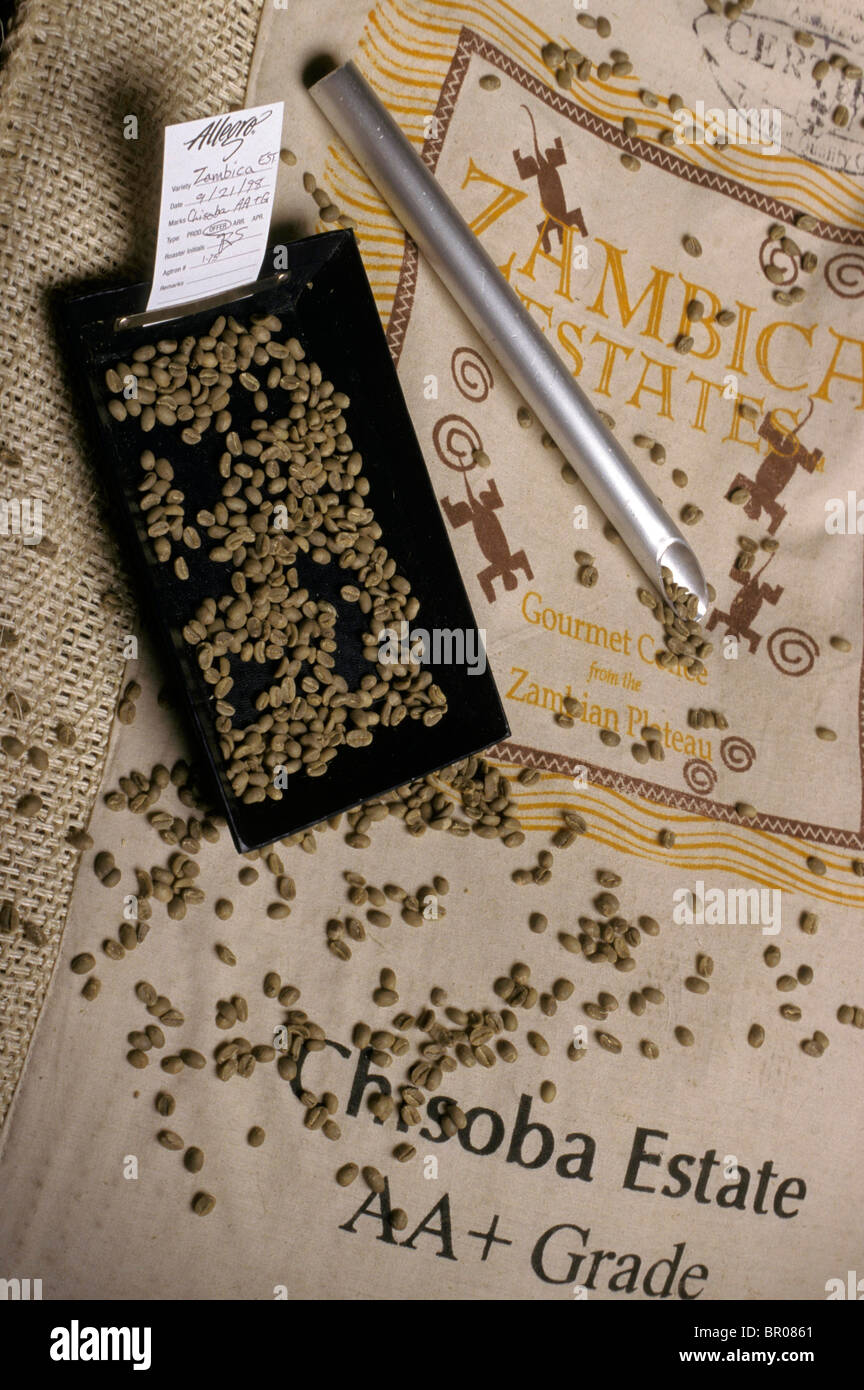 Coffee beans tested hi-res stock photography and images - Alamy