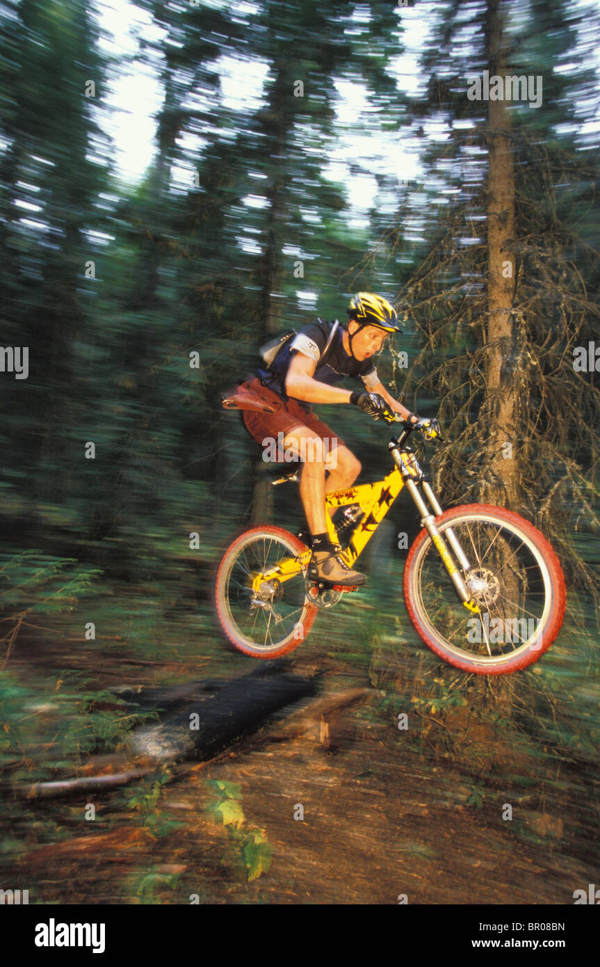 A male mountain biker jumping a log Stock Photo - Alamy
