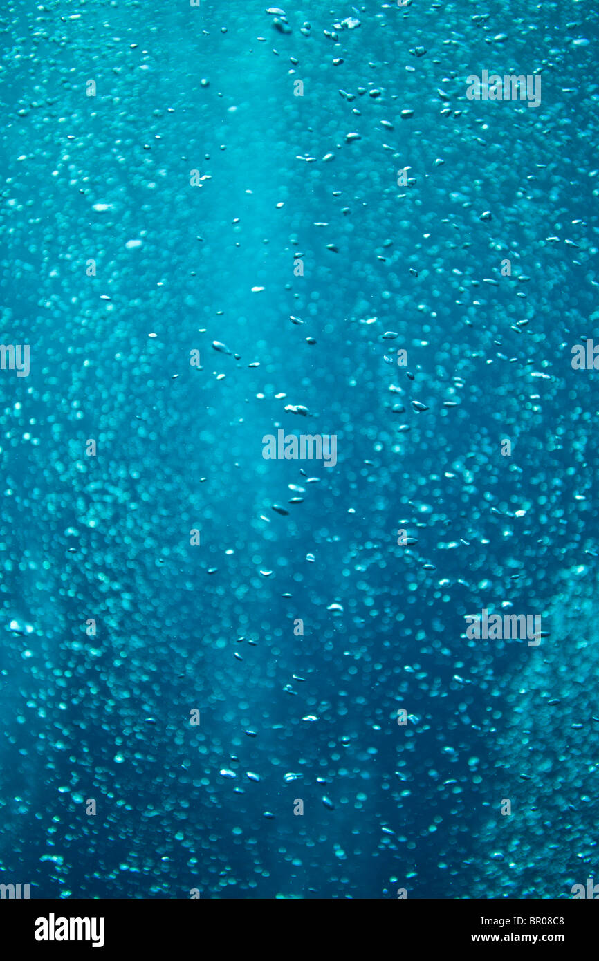 Bubbles from scuba diver hi-res stock photography and images - Alamy