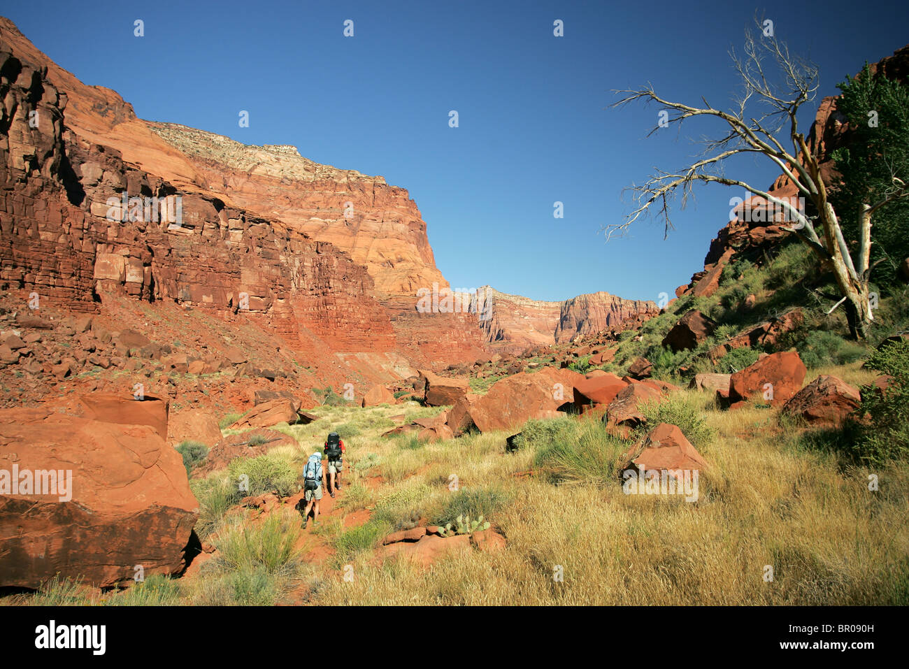 Hiking the Paria Canyon, Utah / Arizona Stock Photo - Alamy