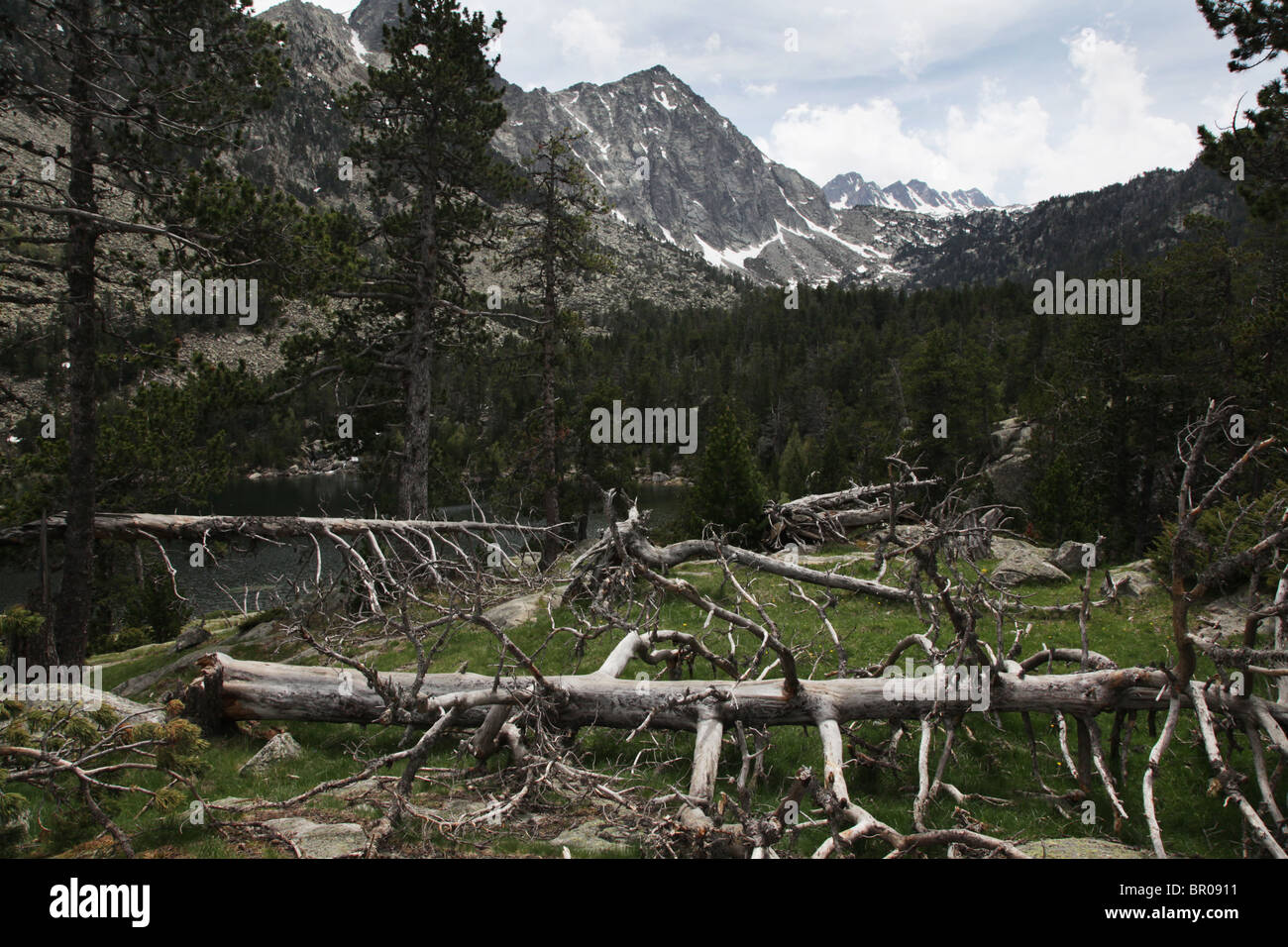 Mount Montanyo and Pic de Sudorn on ascent from Espot to Estany Negre ...