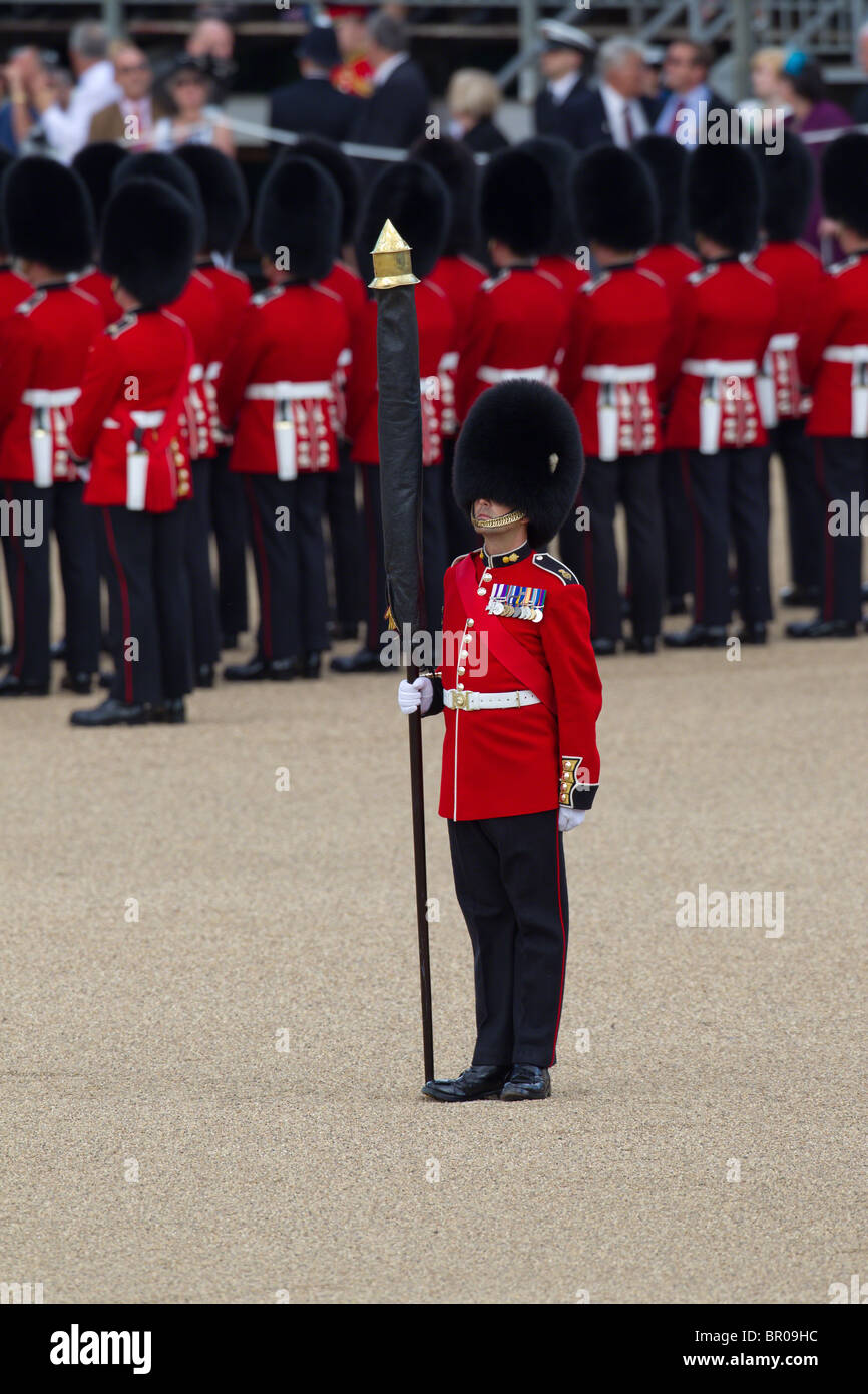 Colour sergeant horse hi-res stock photography and images - Alamy