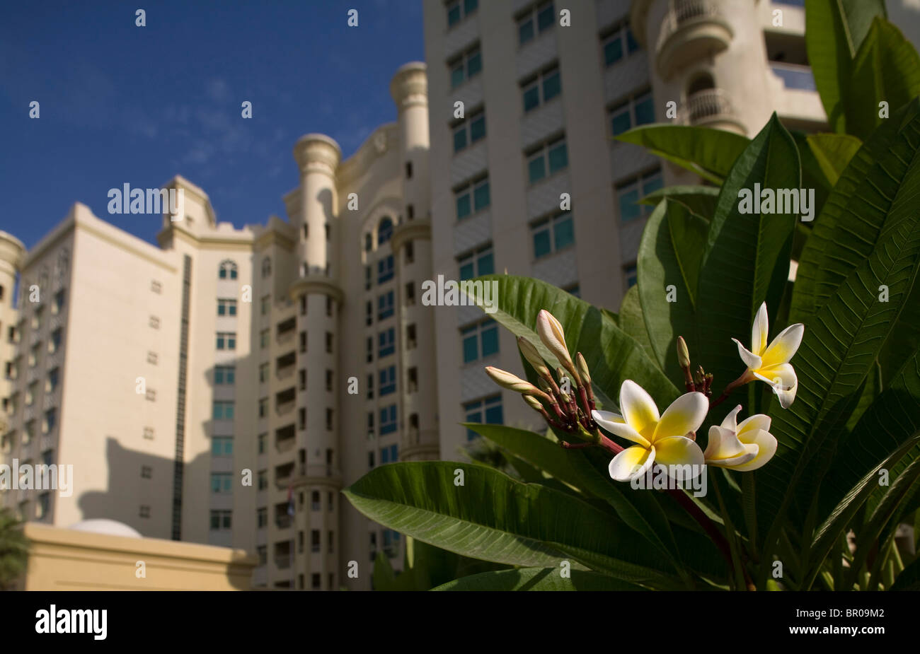 Dubai yellow hi-res stock photography and images - Alamy
