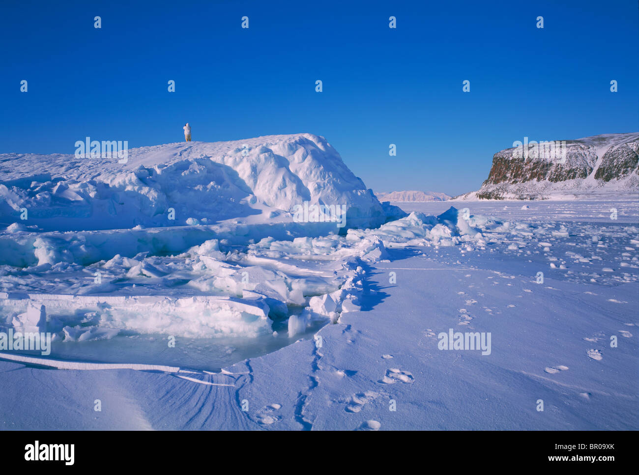 An Inuit hunter scans the frozen horizon Stock Photo - Alamy