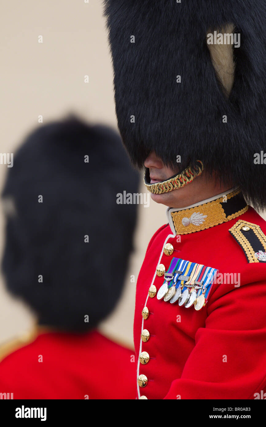 British grenadier hat hi-res stock photography and images - Alamy