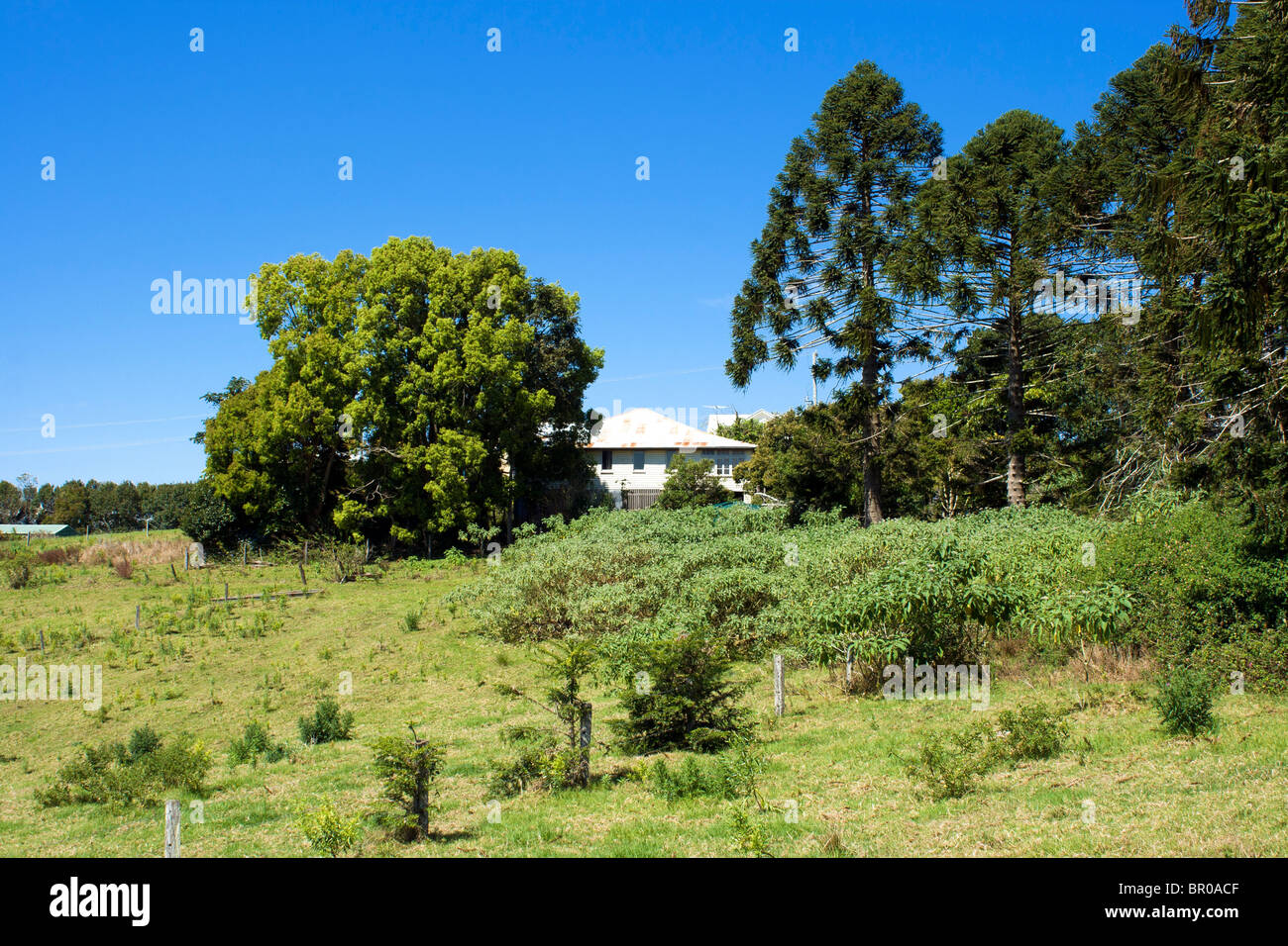 Farm house australia hi-res stock photography and images - Alamy