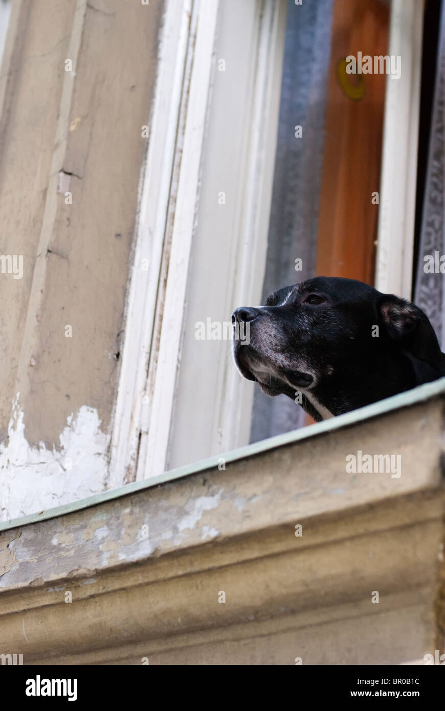 Robbers window hi-res stock photography and images - Alamy