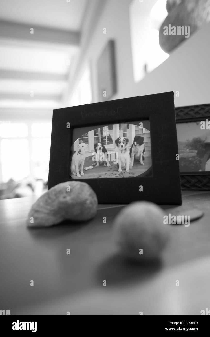 Framed picture Black and White Stock Photos & Images - Alamy