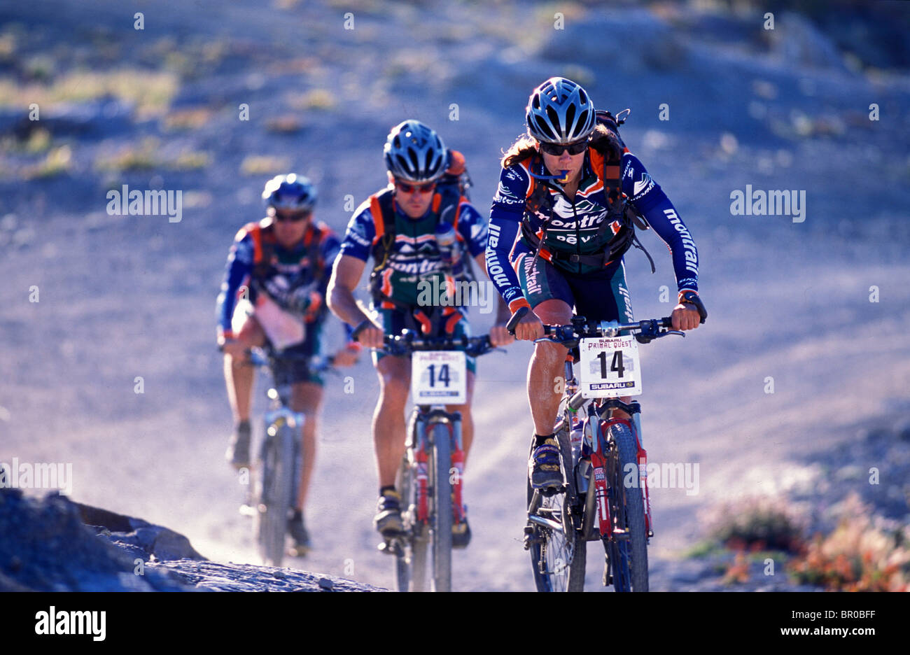 A group of mountain bikers racing Stock Photo - Alamy