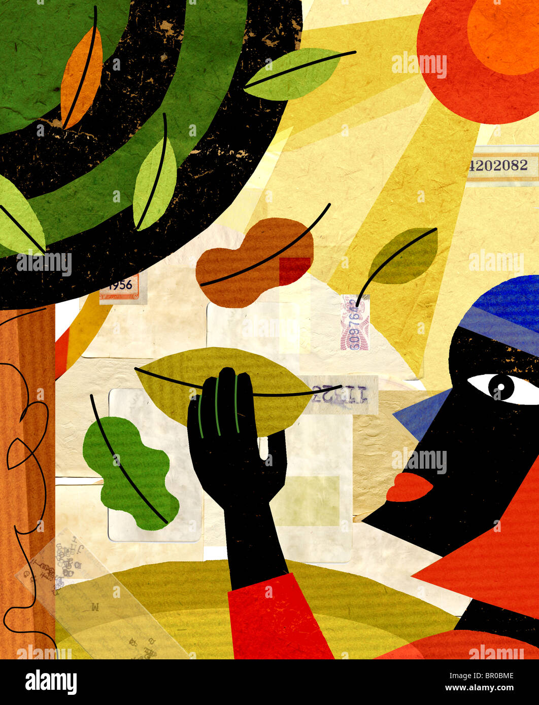 A pictorial illustration of autumn leaves Stock Photo - Alamy