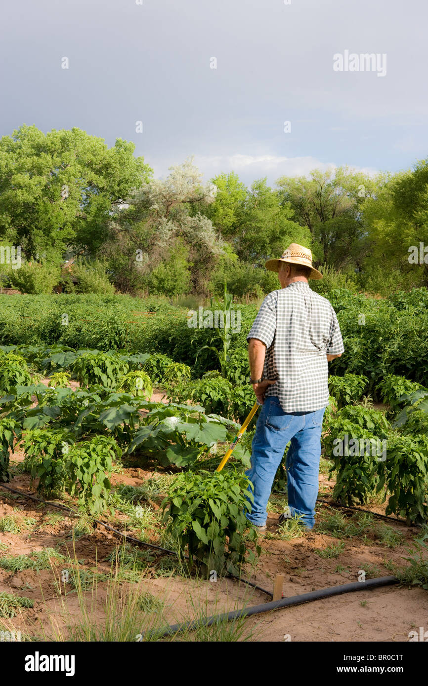 farmer working in garden with rake under cloudy skies Stock Photo - Alamy