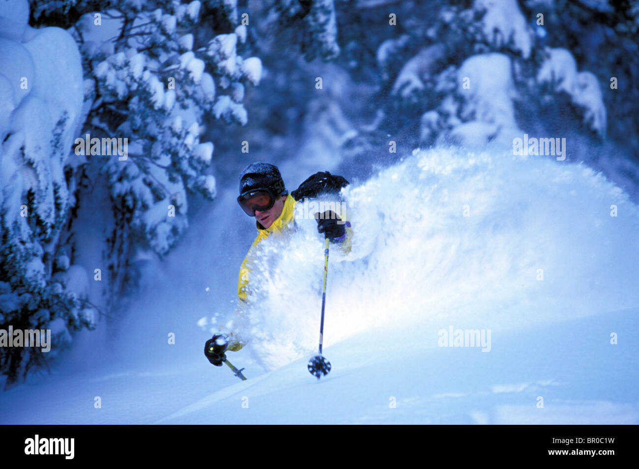 A man makes powder turns while powder skiing in deep fresh snow in the ...