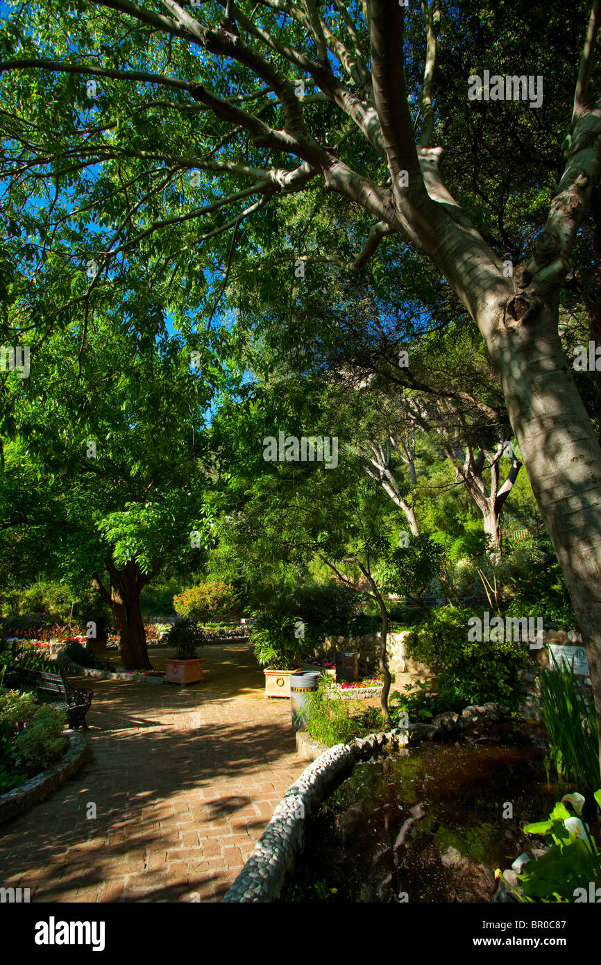 Alameda Gardens Gibraltar Stock Photo - Alamy
