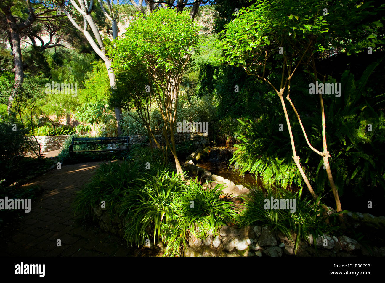 Alameda Gardens Gibraltar Stock Photo - Alamy