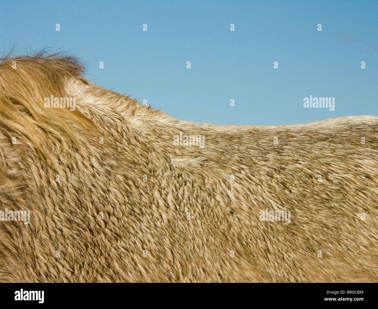 Back draft hi-res stock photography and images - Alamy