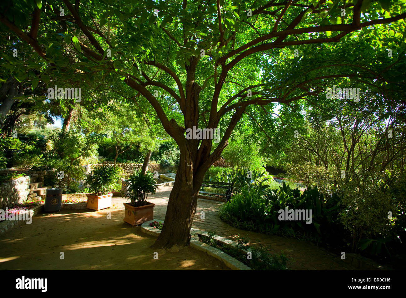 Alameda Gardens Gibraltar Stock Photo - Alamy