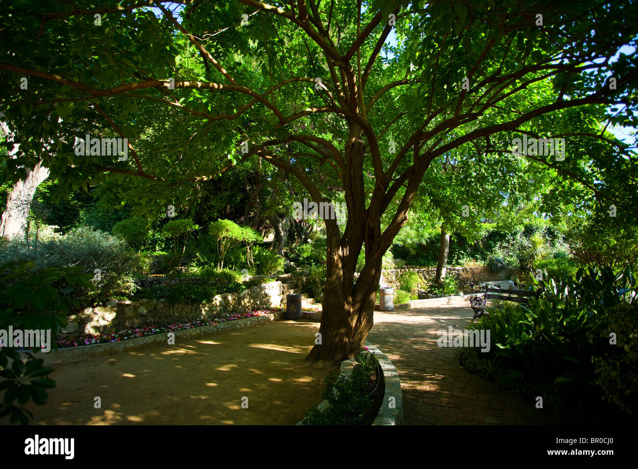 Alameda Gardens Gibraltar High Resolution Stock Photography and Images ...