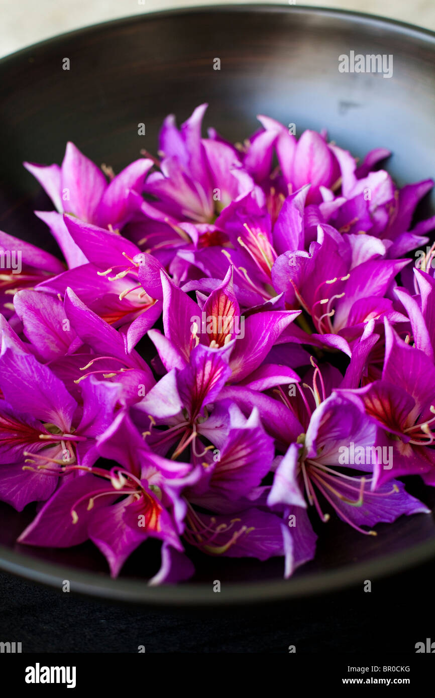 Floating orchids hi-res stock photography and images - Alamy