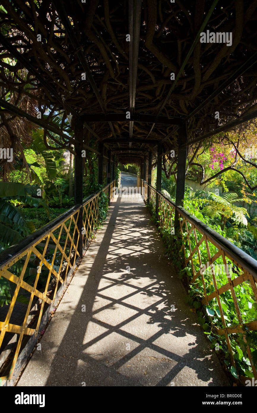 Alameda Gardens Gibraltar Stock Photo - Alamy
