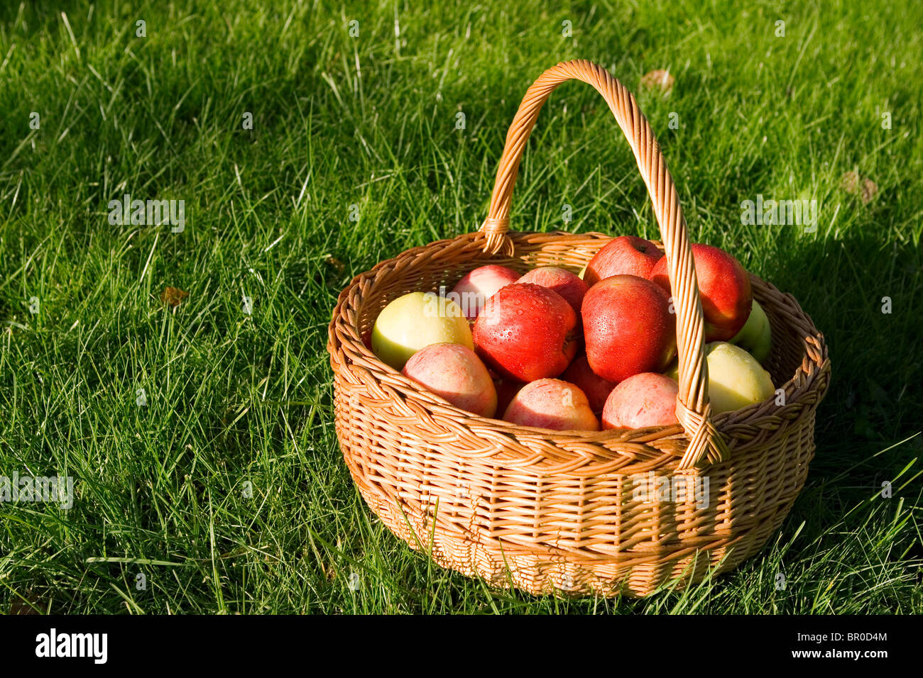 Basket full of apples Stock Photo - Alamy