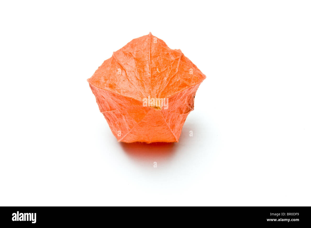 Ornamental bottom Cut Out Stock Images & Pictures - Alamy