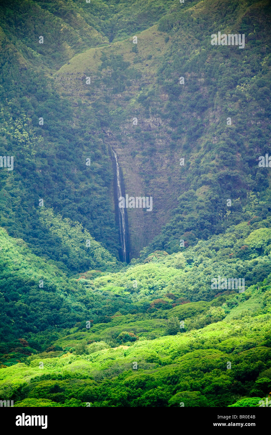 Hipuapua waterfall in Halawa valley on the Pacific island of Molokai ...