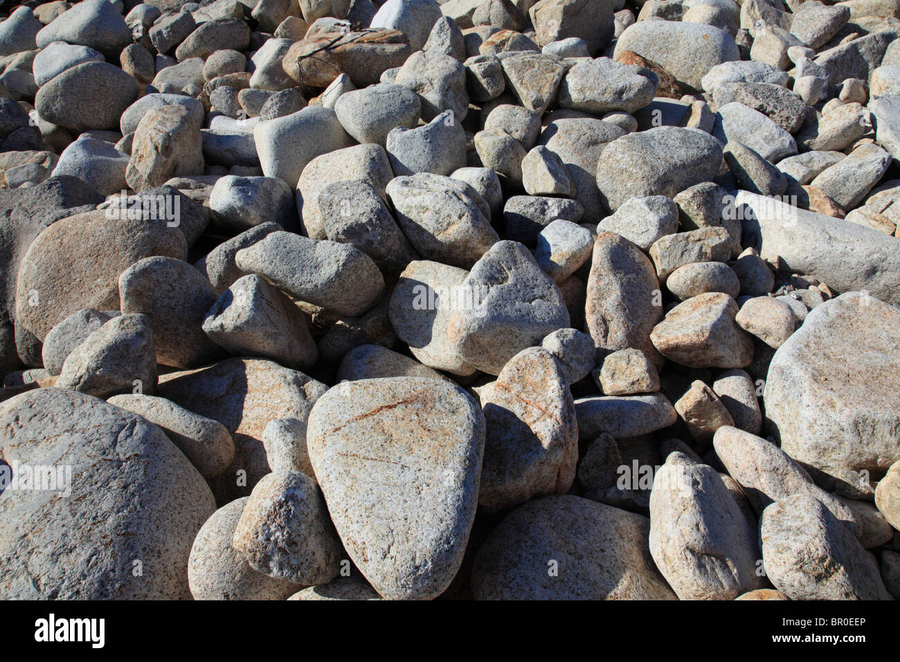 large assorted pebbles on a beach. Photo by Willy Matheisl Stock Photo ...