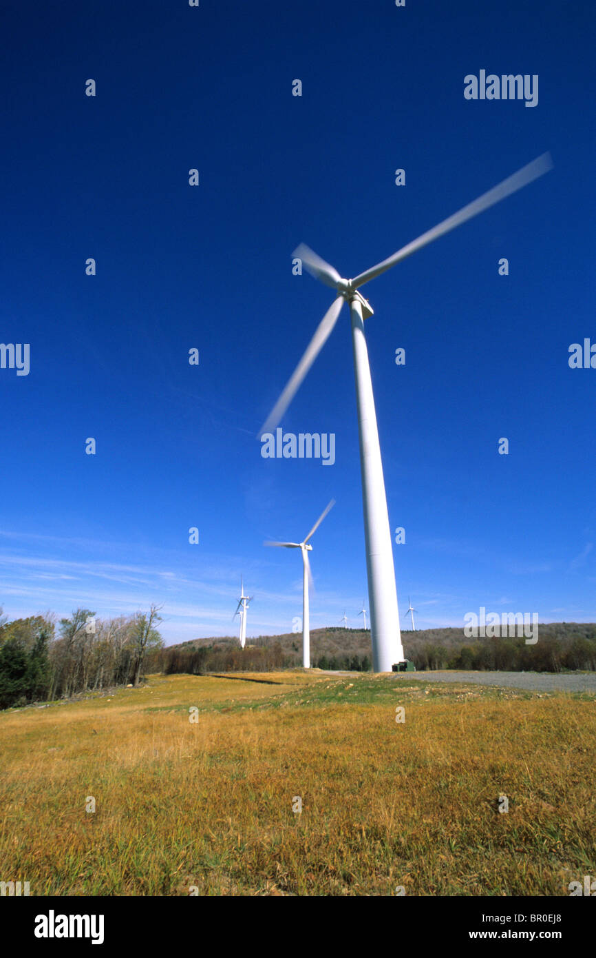 Backbon hi-res stock photography and images - Alamy