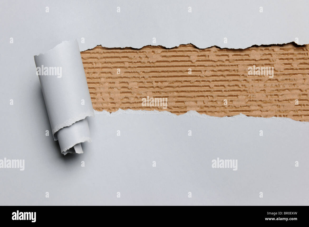 Gray ripped paper revealing cardboard Stock Photo - Alamy