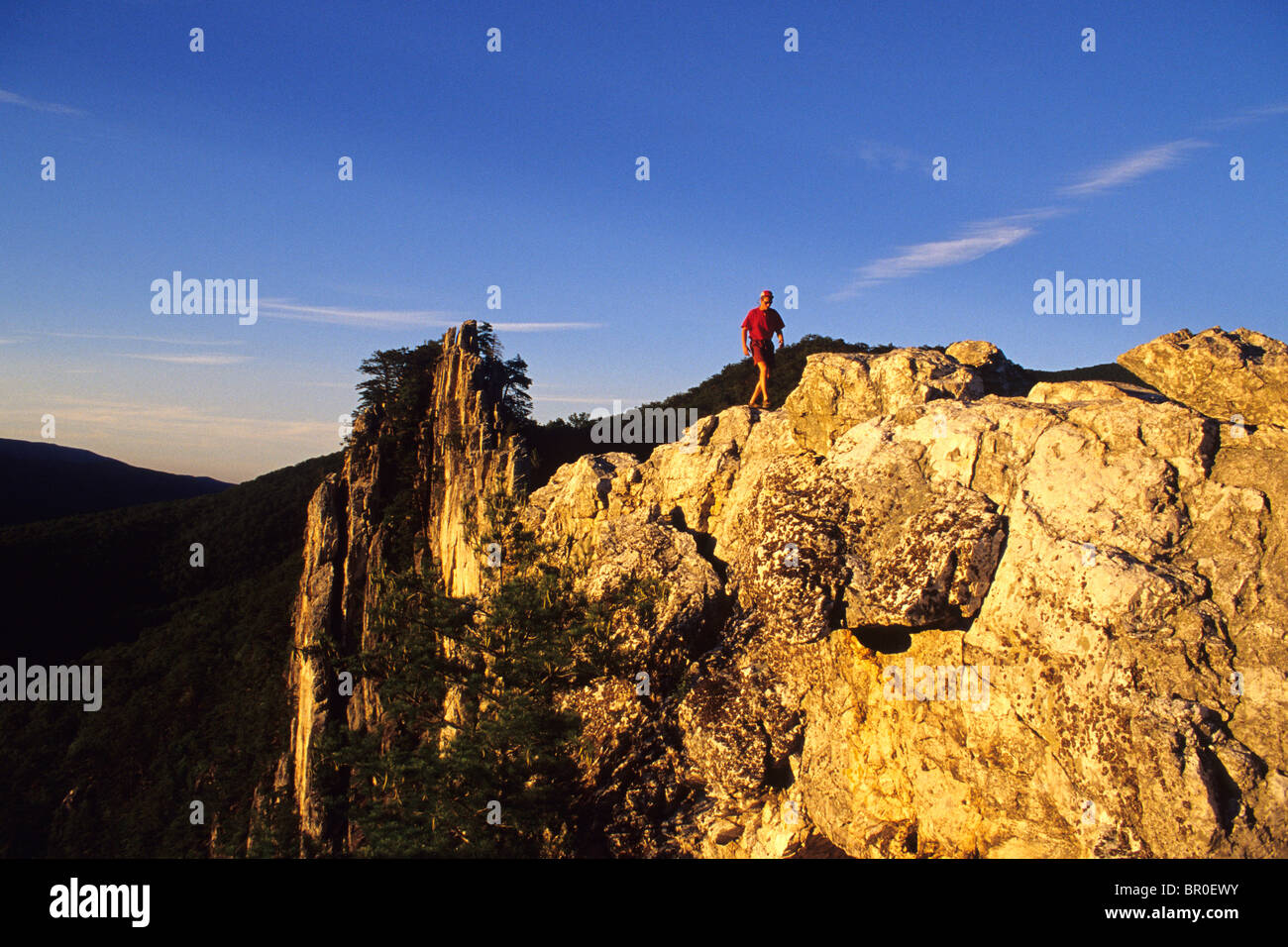 Male climber crosses the summit fin on the South Peak at Seneca Rocks ...