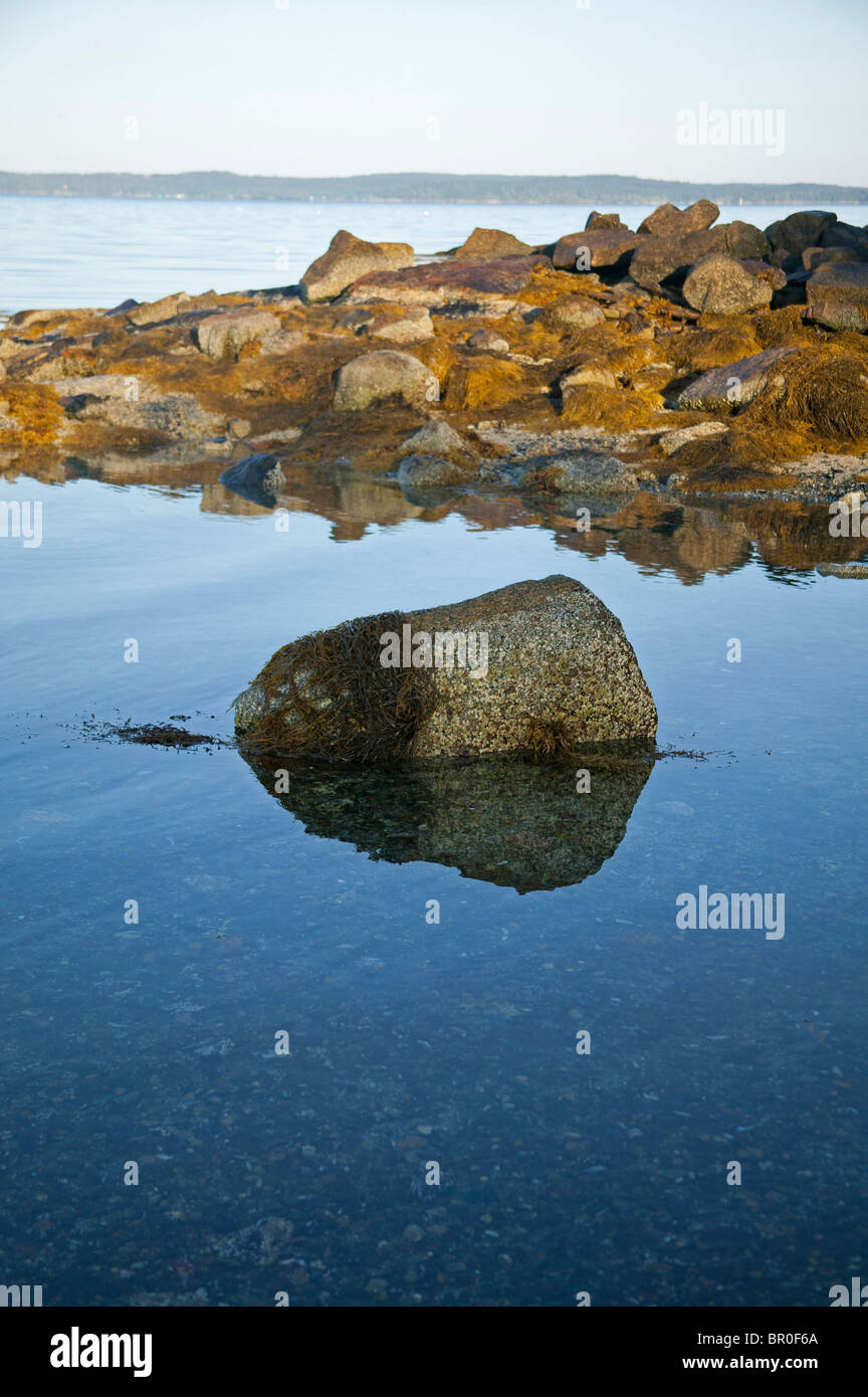 rock in water Stock Photo - Alamy