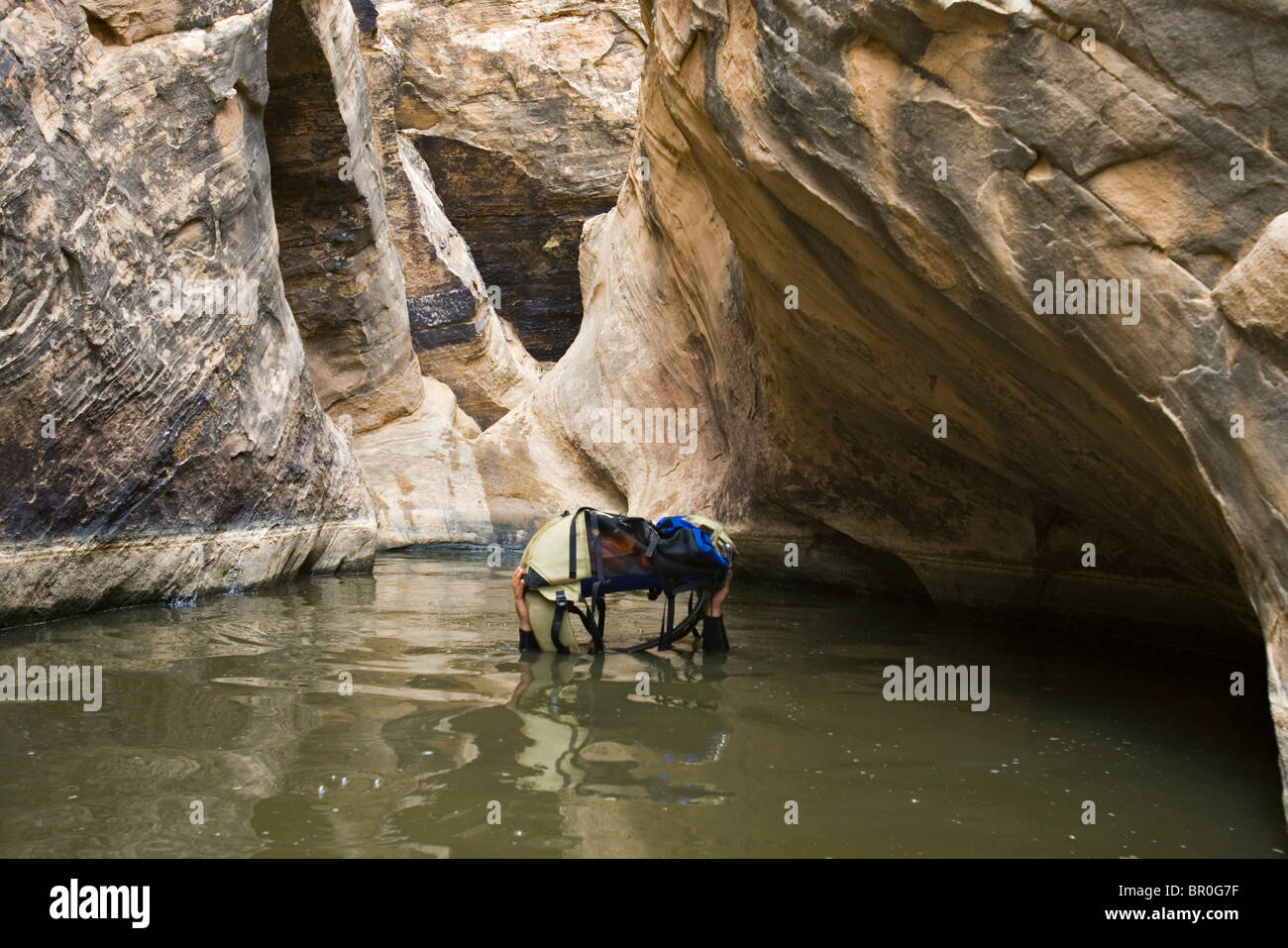 Man wading with head submerged while holding pack above water while ...